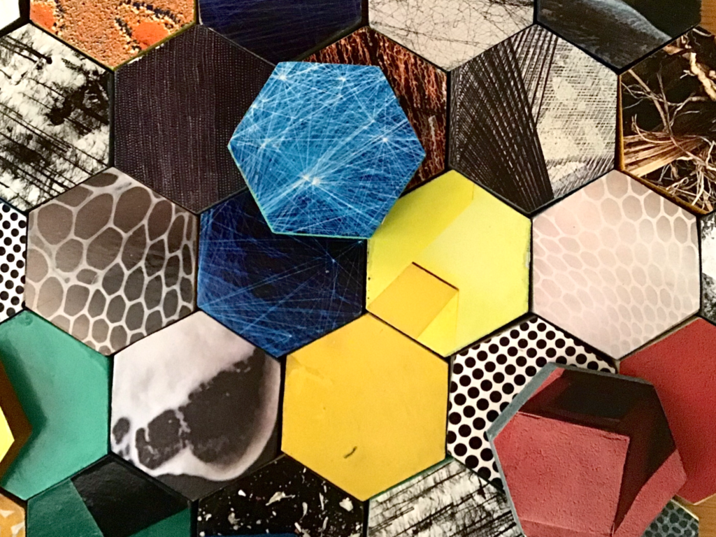 Hexagonal Bricks | A Sanctuary Planted