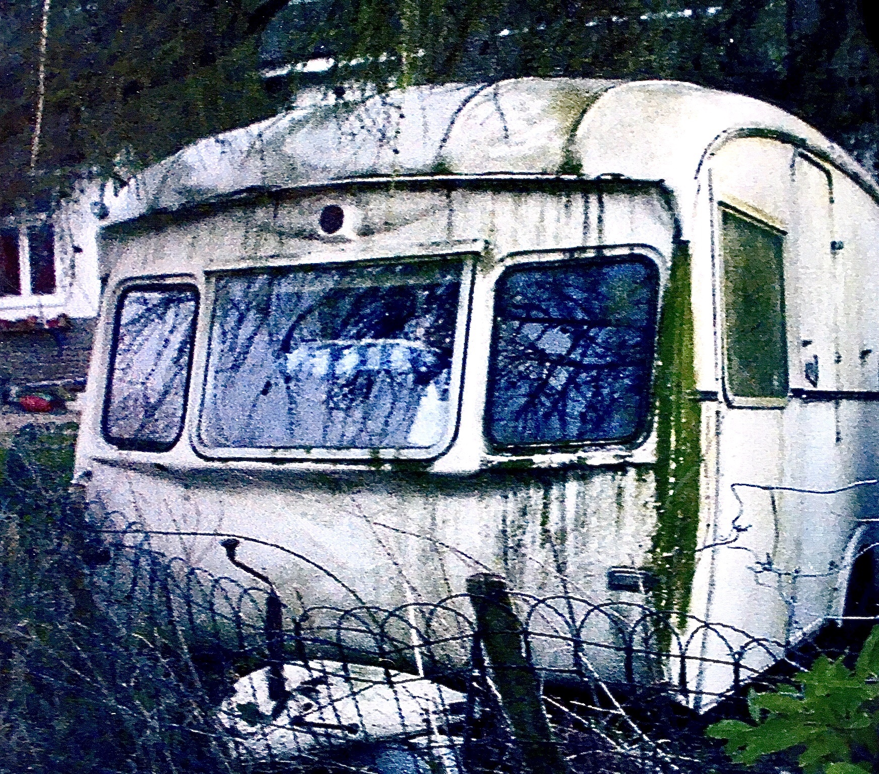 The Cheltenham Waterbuck Caravan | A Sanctuary Planted